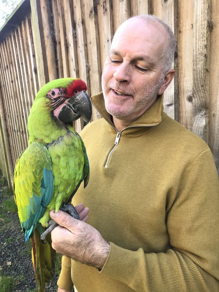 About Us - Eco Parrots Farm - Hand Raised Parrots For Sale, Free Cage